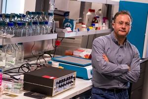 Researchers are 3D Printing Living Brain Tissue to Eventually Treat ...