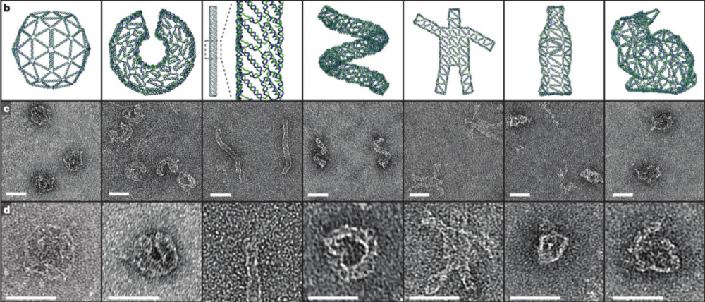 Researchers Look into 3D Printing Nanoscale Objects Using Strands of DNA - 3DPrint.com ...