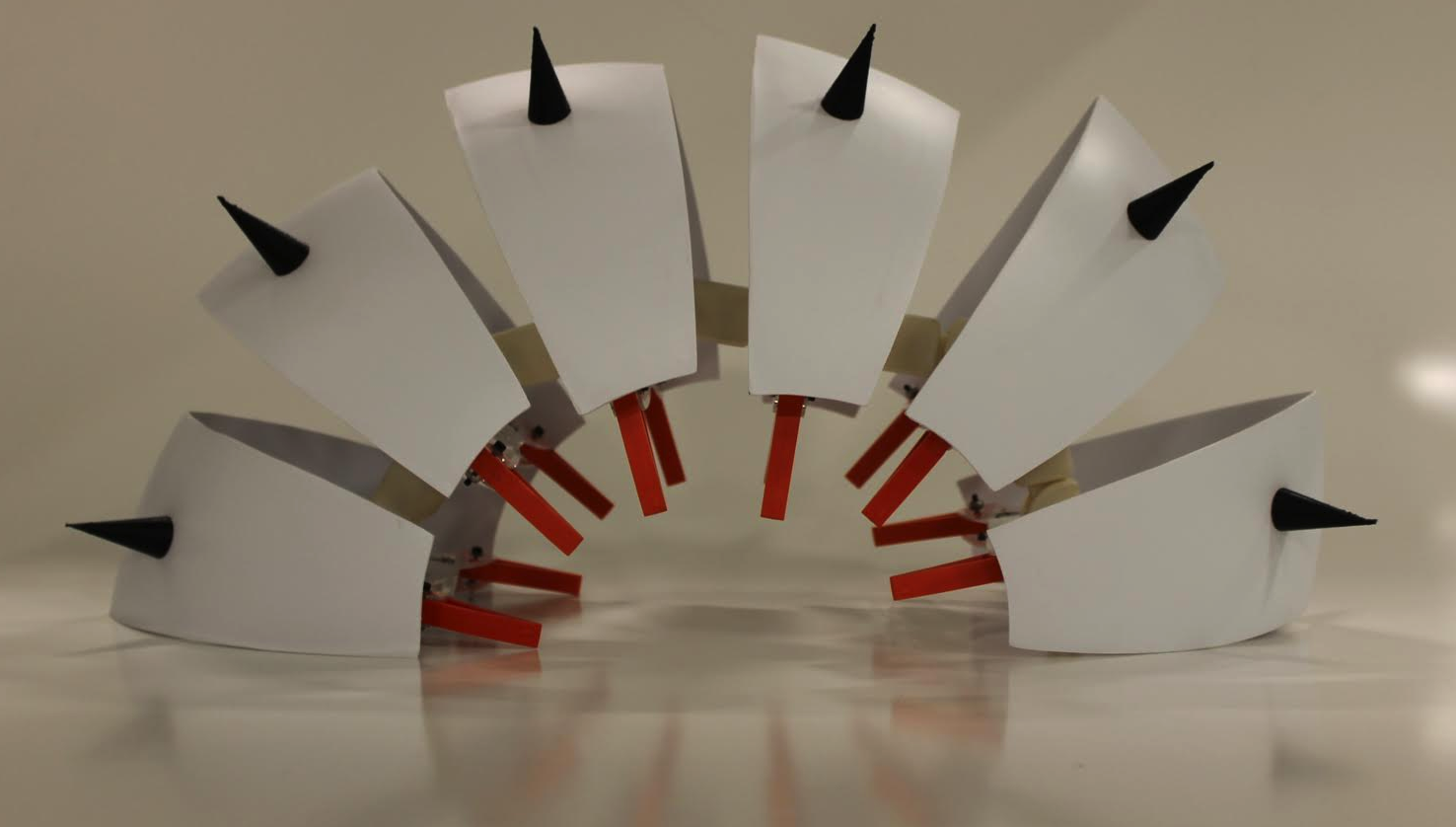 Replicating an Insect: Students Model and 3D Print a Unique ‘Roly Poly ...