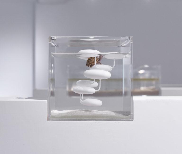 Waterscape: A Series of Minimalist Aquarium Designs Made Using 3D ...