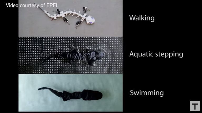 Pleurobot the 3D Printed Salamander Yields Helpful Data for Researchers ...