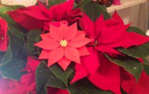 Weekly Roundup: Ten 3D Printable Unique Christmas Tree Decorations ...