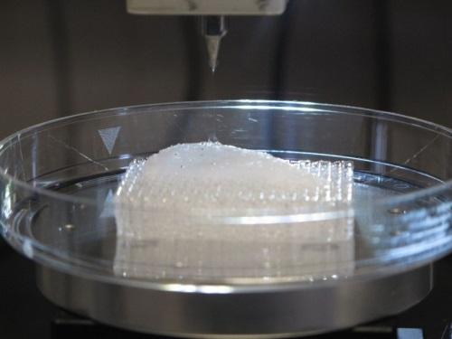 GWU SEAS Research Team Publishes Study on 3D Printing Synthetic Nerve ...
