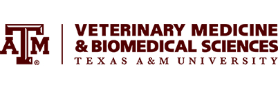 Exclusive Interview: Texas A&M Veterinarian Creates Entirely New ...