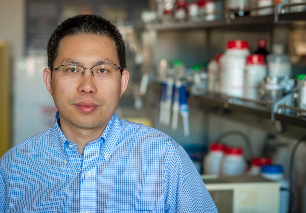 UTA Professor Receives NIH Grant to Make 3D Printed Blood Vessels for ...