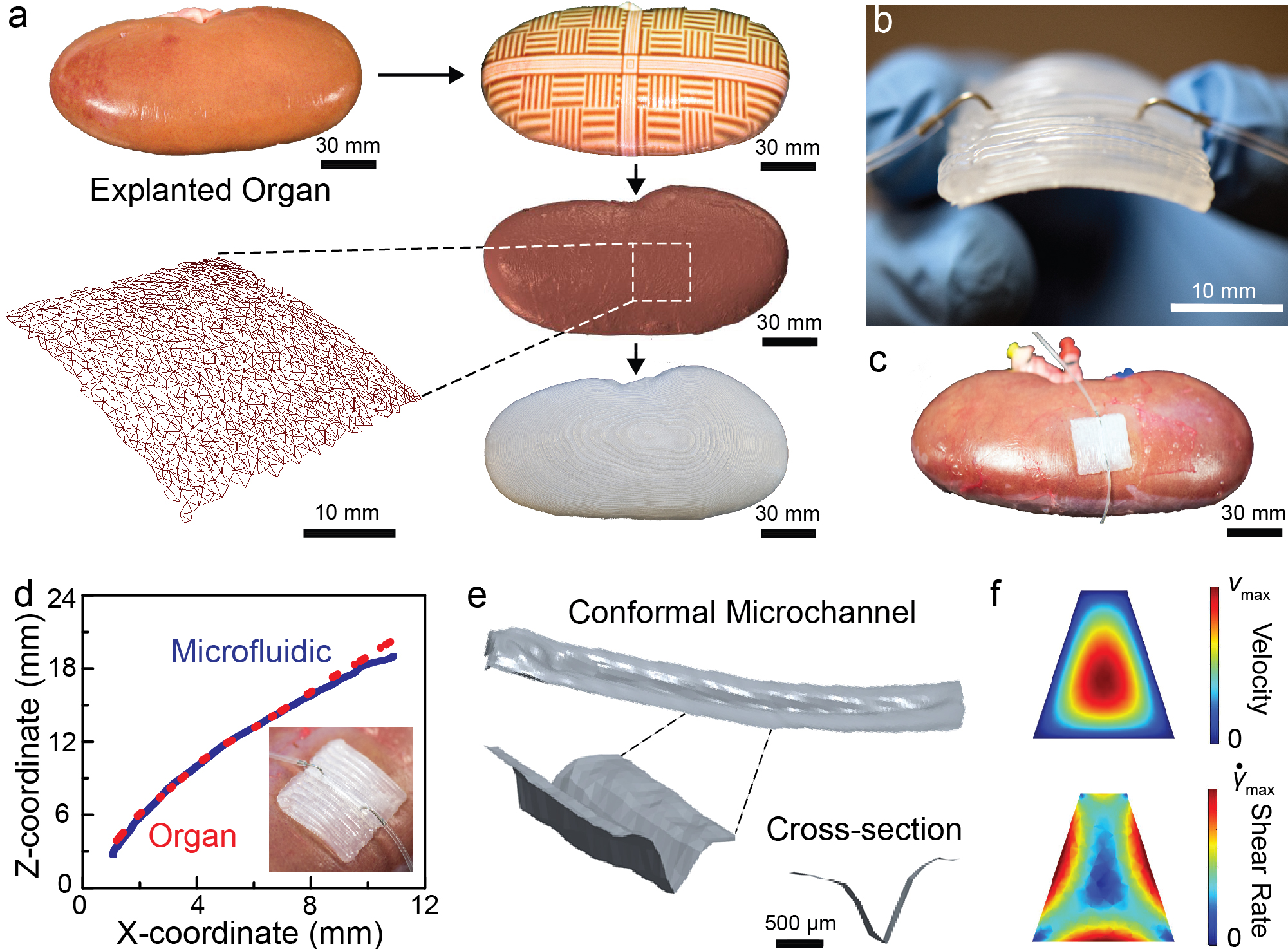 3D Printed Microfluidic Devices Could Increase the Number of Viable ...
