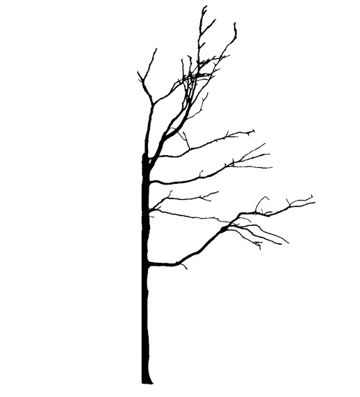 3D Printing and Casting Preserve the Memory of a Tree in Bronze ...