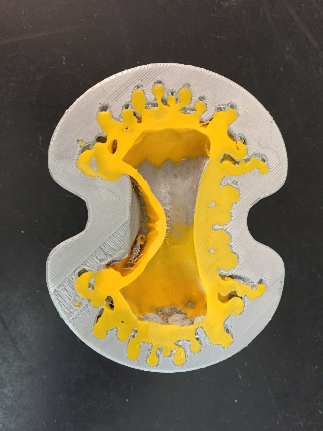 Researchers Create 3D Printed Model to Better Understand a Binary Star ...