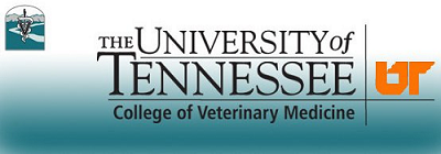 Tennessee Veterinarians Use 3D Printed Models for Pre-Surgical Planning ...