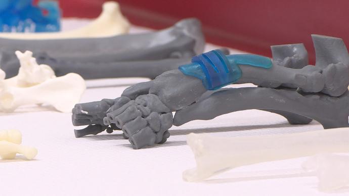 Tennessee Veterinarians Use 3D Printed Models for Pre-Surgical Planning ...