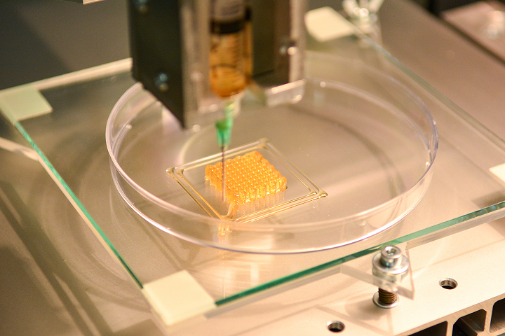 Open Source Biolab Uses 3D Bioprinting Platform to Fabricate Complex ...