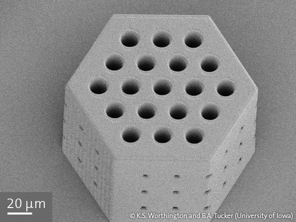 Nanoscribe's Photonic Professional GT 3D Printer Put to Use in Life ...