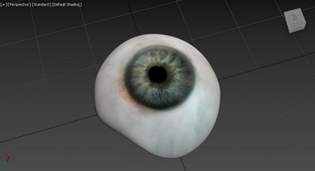 Engineering Student Creates Inexpensive 3D Printed Eye Prosthesis ...