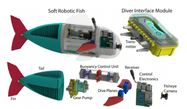 Soft Robotic Fish with 3D Printed Components Ready for Marine Life ...