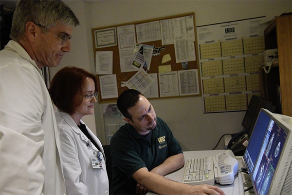 CT Scans and 3D Printed Model Help Kodiak the Two-Toed Sloth Fix His ...