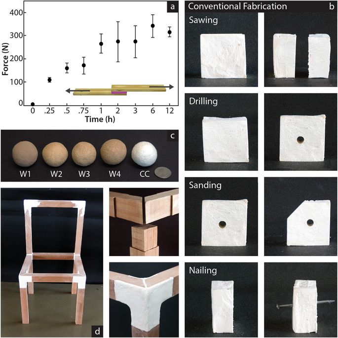 Researchers 3D Print Large-Scale Objects with Newly Developed Type of ...