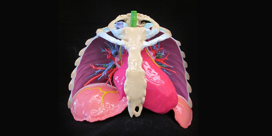 Mayo Clinic Finds 3D Printing Essential Moving Medicine Forward for ...