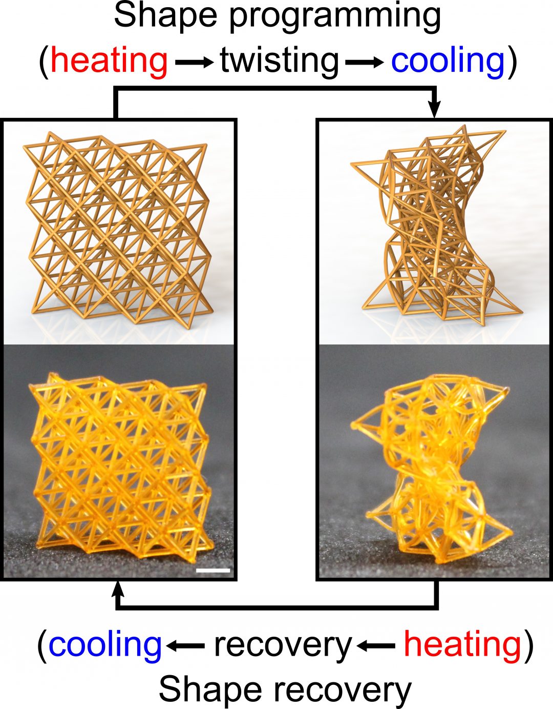 Rutgers Engineers 4D Printing Smart Metamaterials for Industrial ...