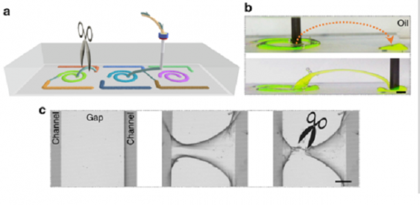Lawrence Berkeley National Laboratory: Researchers Use Liquid-in-Liquid ...