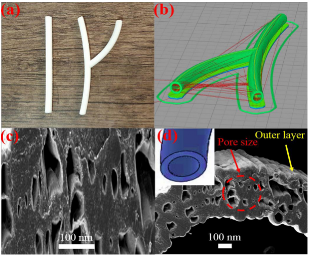 Researchers 3D Printing Artificial Blood Vessels to Treat ...