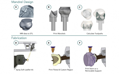 3D Printing Awakens Renewed Interest in Polymeric Heart Valves for ...