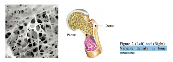 Understanding Functionally Graded Additive Manufacturing (FGAM ...