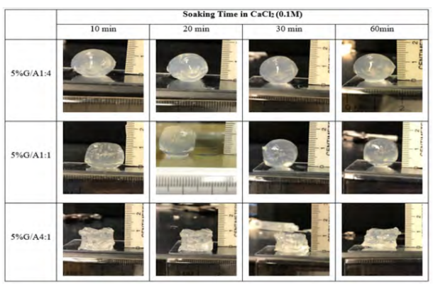 3D Printability of Gelatin/Alginate Hydrogels & Post Processing with ...