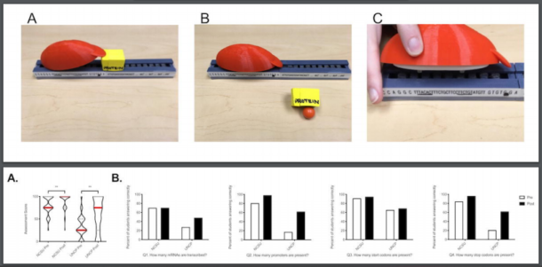 North Carolina: 3D Printed Models Used as Tactile Teaching Tools in ...