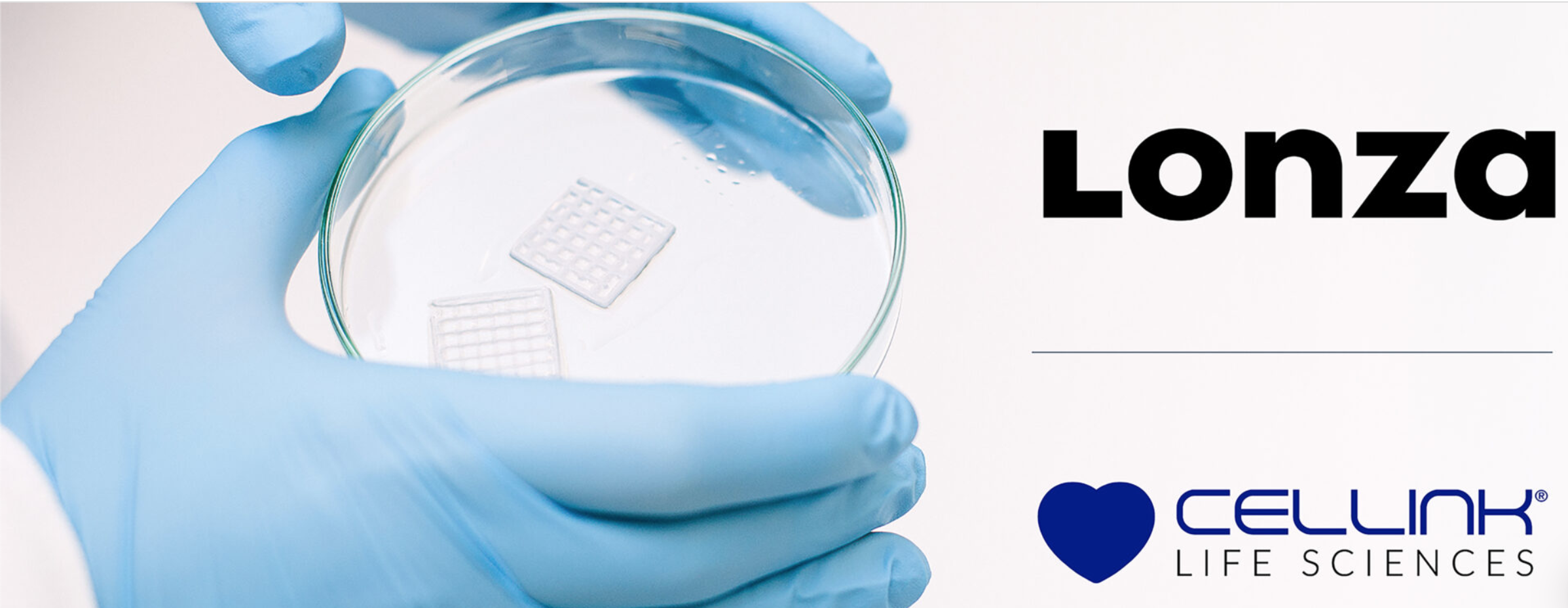 Cellink Teams with Lonza to Advance Bioprinting Cell Cultures - 3DPrint ...