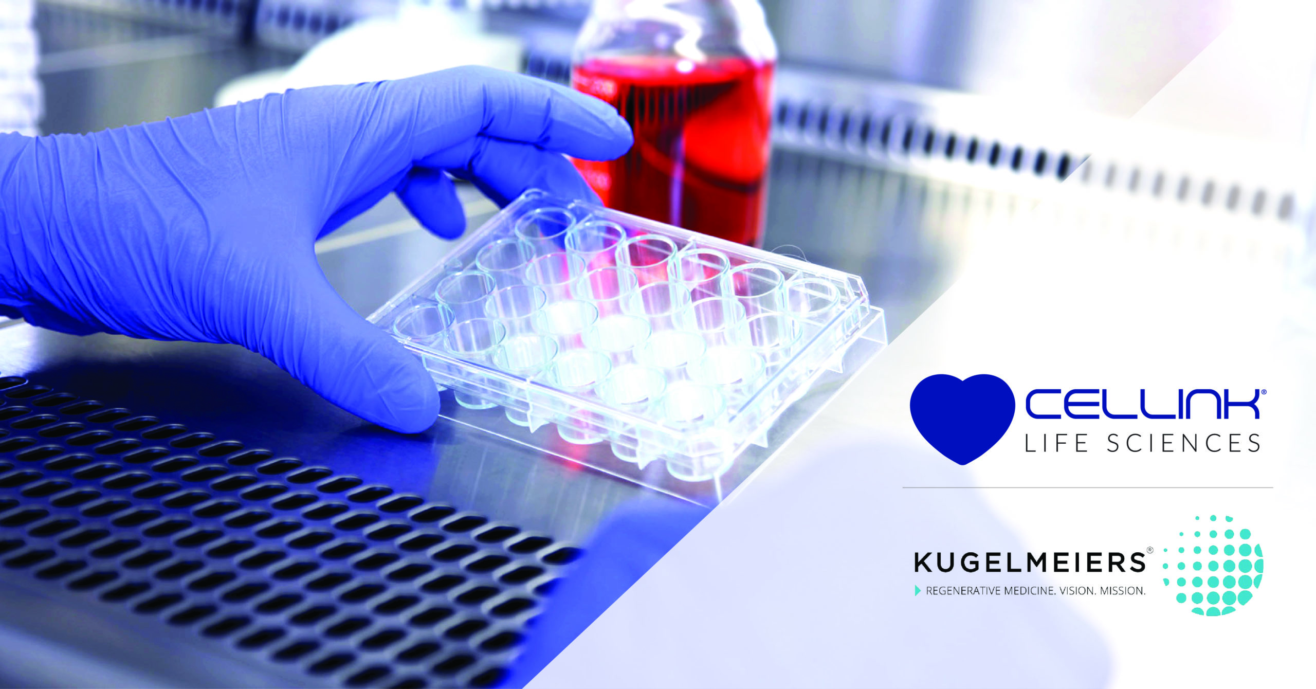 Bioprinting: Cellink Partners with Kugelmeiers for 3D Cell Culture ...