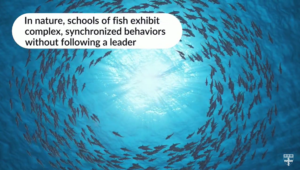 Autonomous Swarm of 3D Printed Robot Fish Could Swim Where Humans Can’t ...