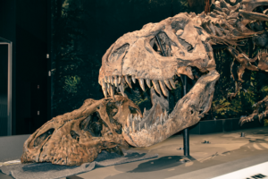3D Printed T-Rex Replica "Trix" to be Displayed at Japanese Dinosaur ...
