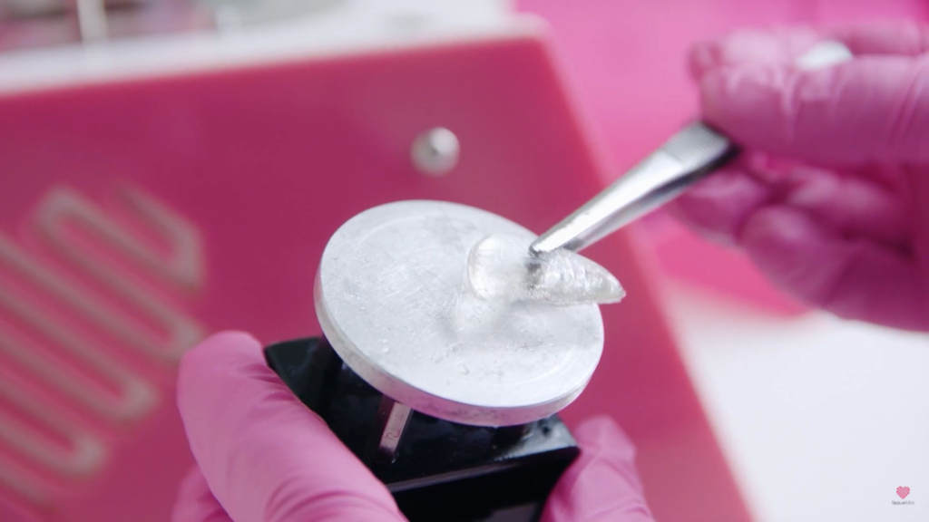 New Masked SLA Bioprinter Revealed by TissueLabs - 3DPrint.com ...