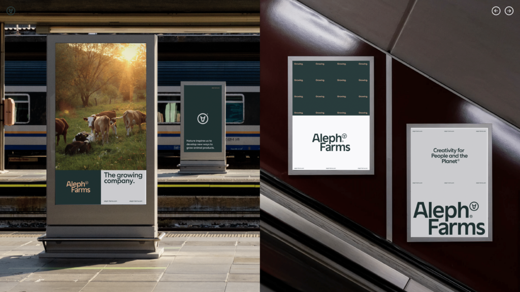 Aleph Farms’ New Cultured Steak to Join the Cultured Meat Race ...