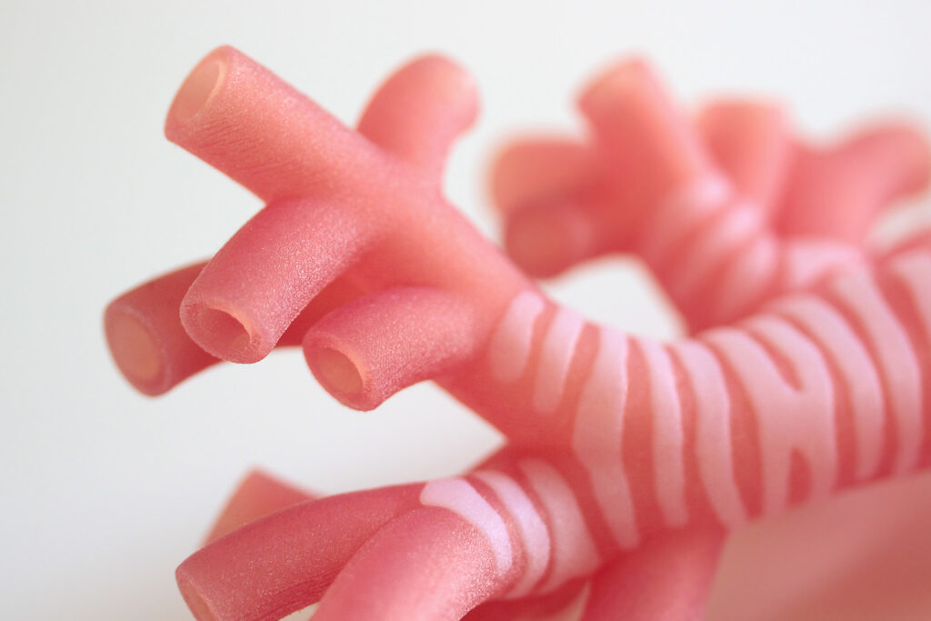 Can a New 3D Printed Trachea Model Redefine Medical Training? If It ...
