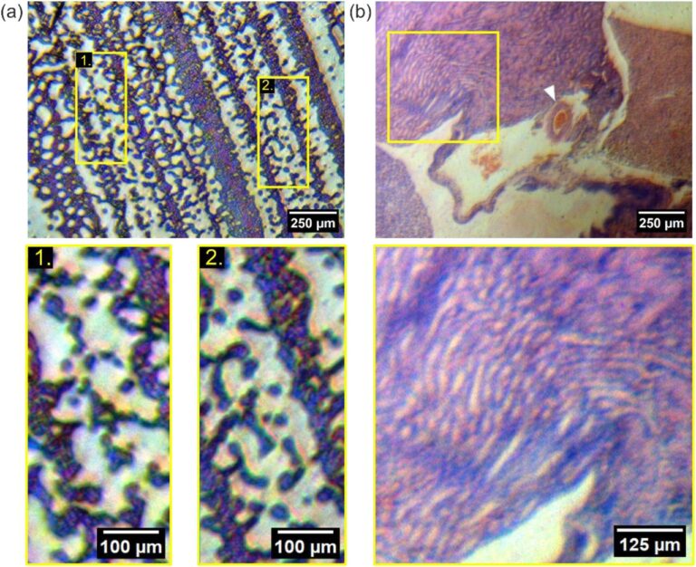 World's First Fully-3D Printed Microscope Could Bring Microscopy to ...