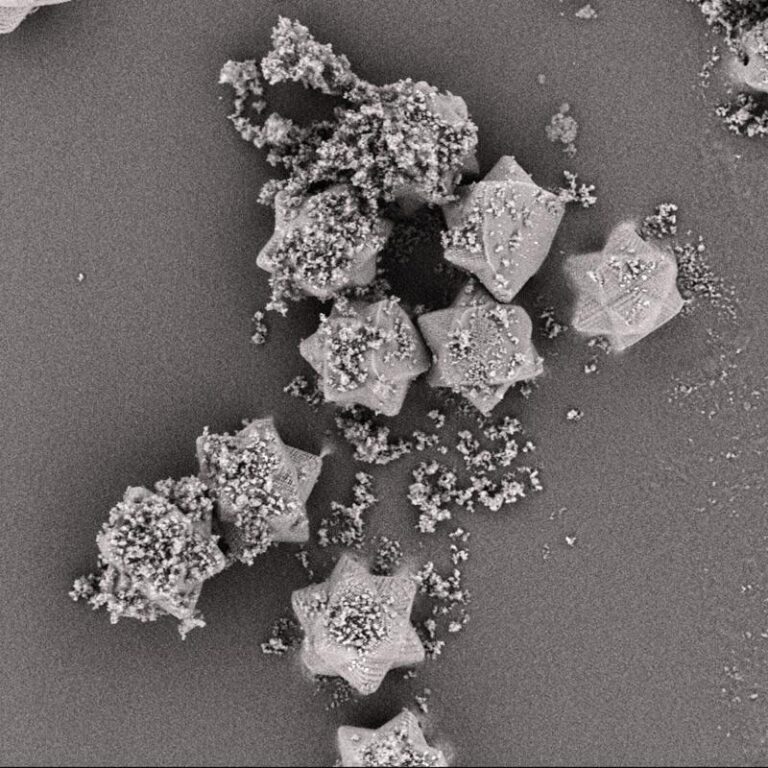 3D Printing Makes Inhalers for Asthma More Effective - 3DPrint.com ...